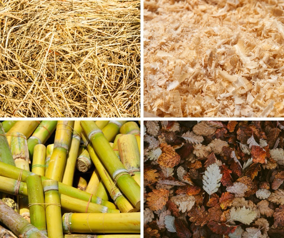 Understanding Biochar Properties through Varied Pyrolysis – Biochar Today