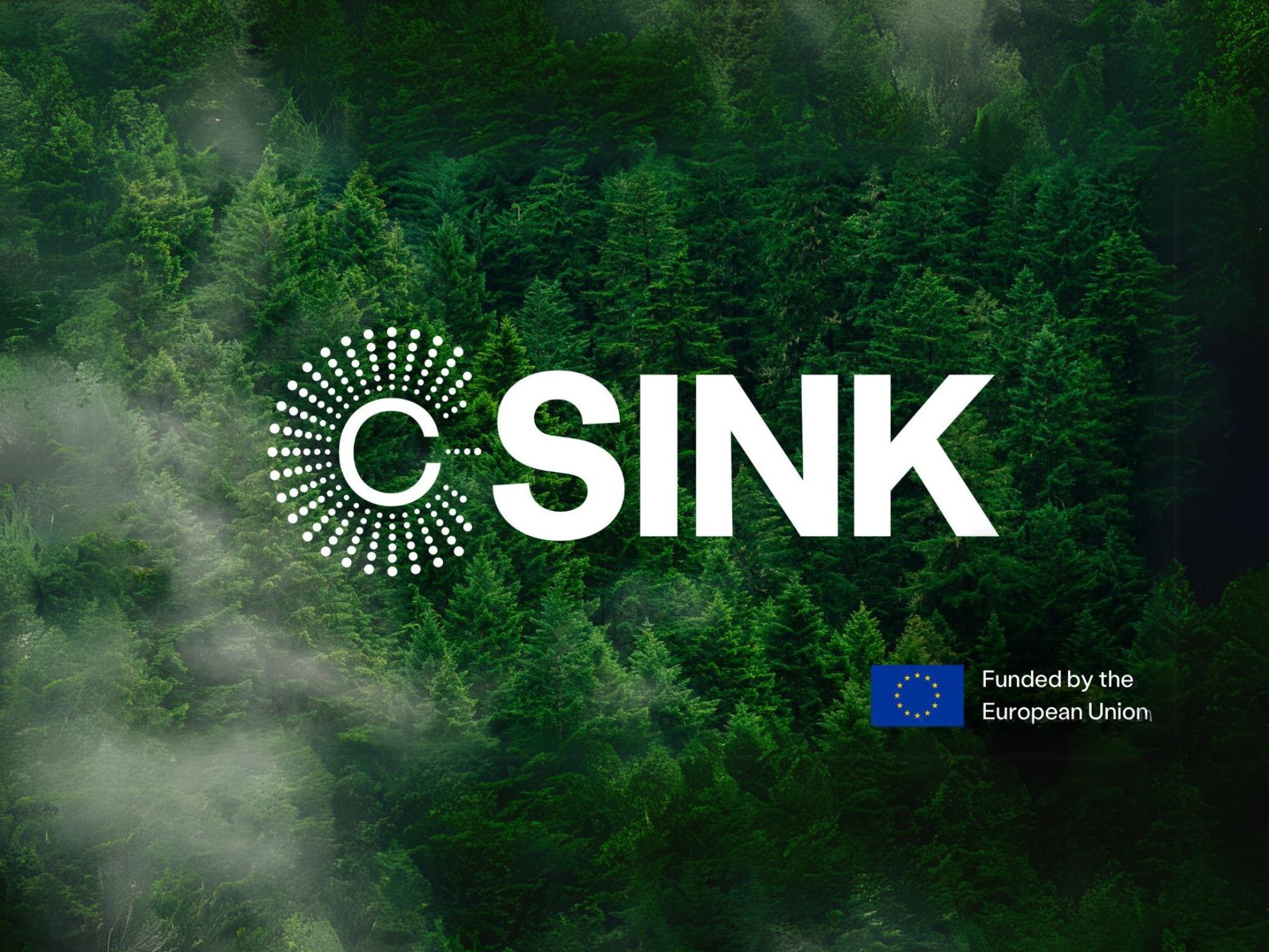 C-SINK Survey: the parameters of Carbon Dioxide Removal Technologies ...