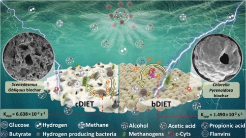 Efficient Anaerobic Digestion: Insights into Microalgae Biochar ...