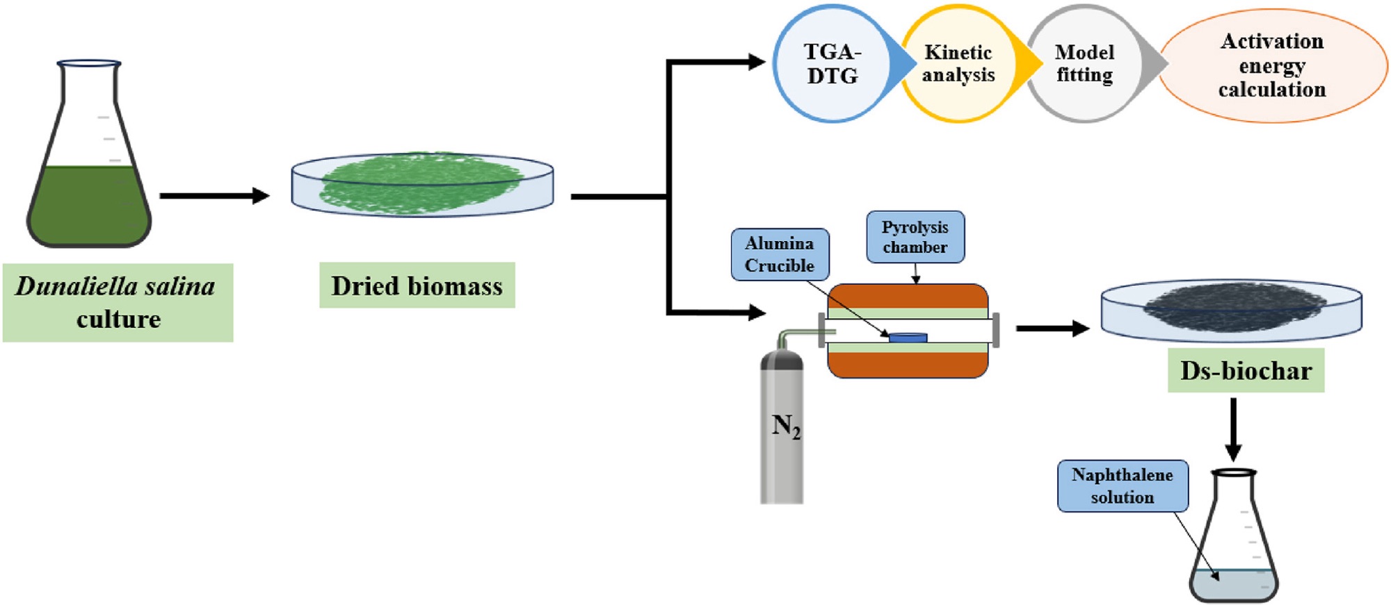Microalgal Biomass Valorization: Biochar as an Effective Solution for ...