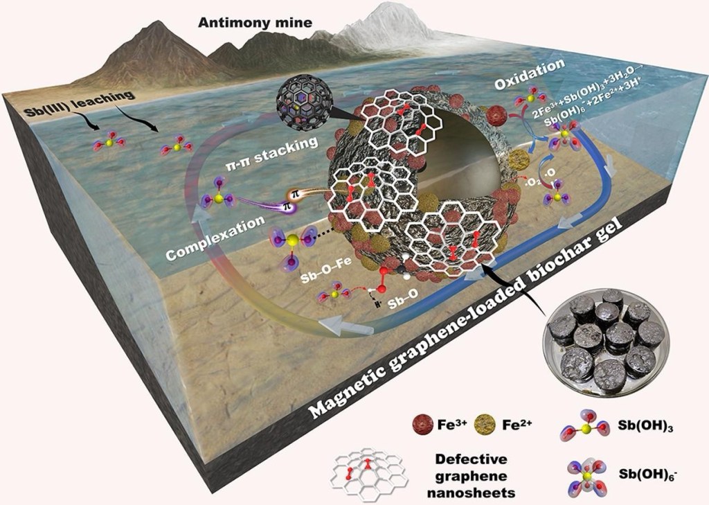 Enhancing Biochar Efficiency with Fe/Graphene for Superior Antimony ...