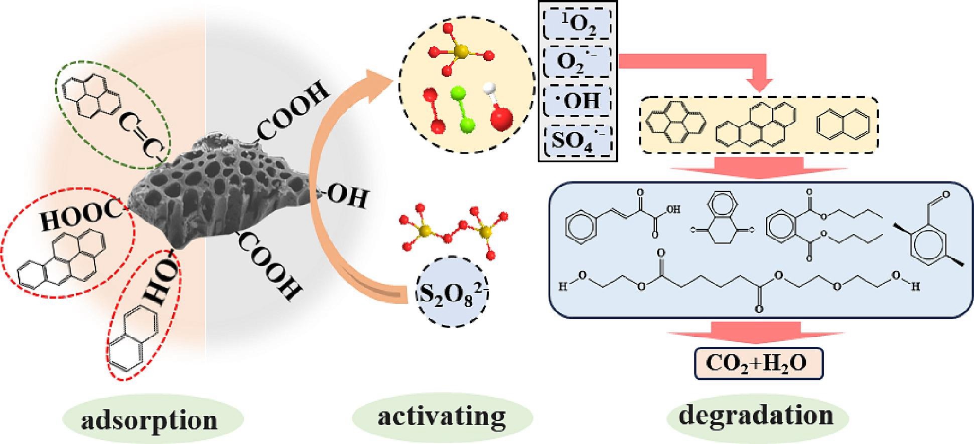 Enhancing PAH Remediation in Soils: A Novel Approach Using Humic Acid ...