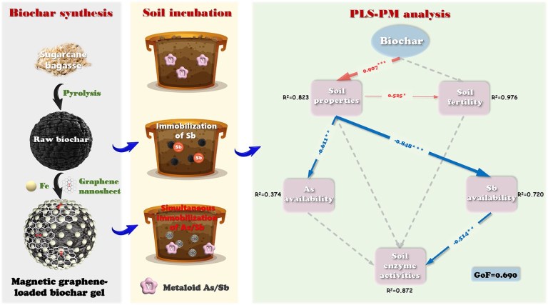 Advancing Soil Remediation: The Efficacy of Magnetic Graphene-loaded ...