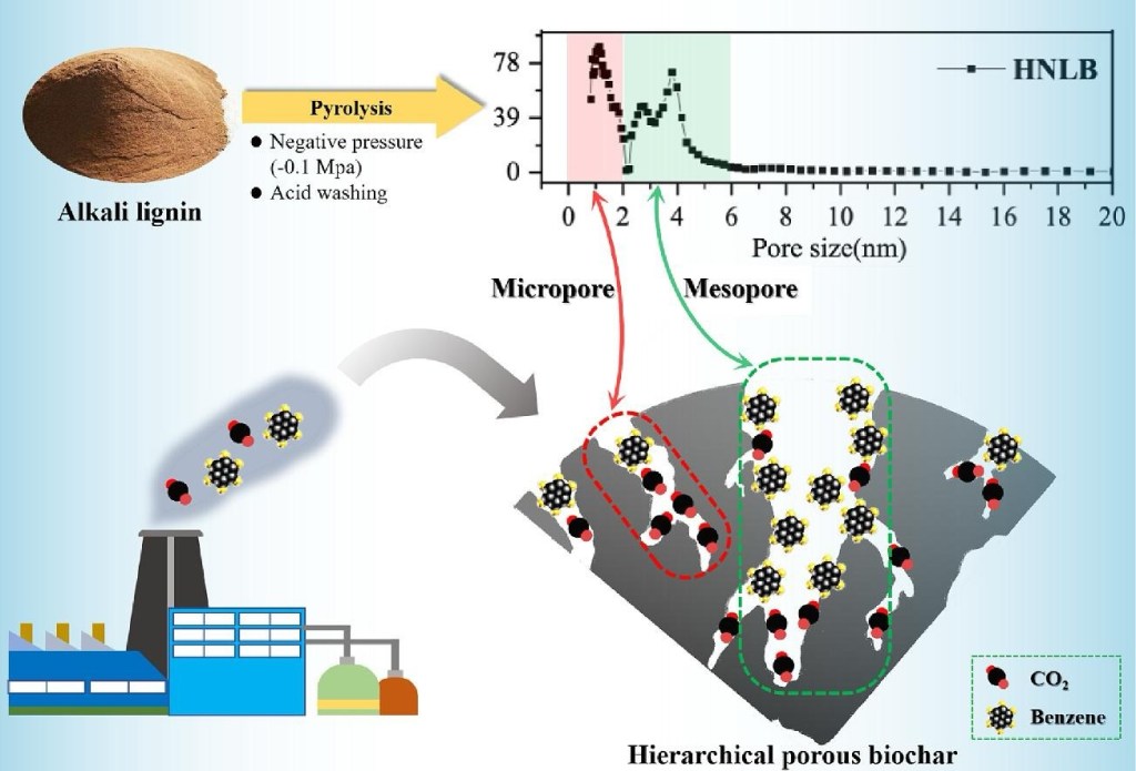 Exploring the Efficacy of Hierarchical Porous Biochar in CO2 Capture ...