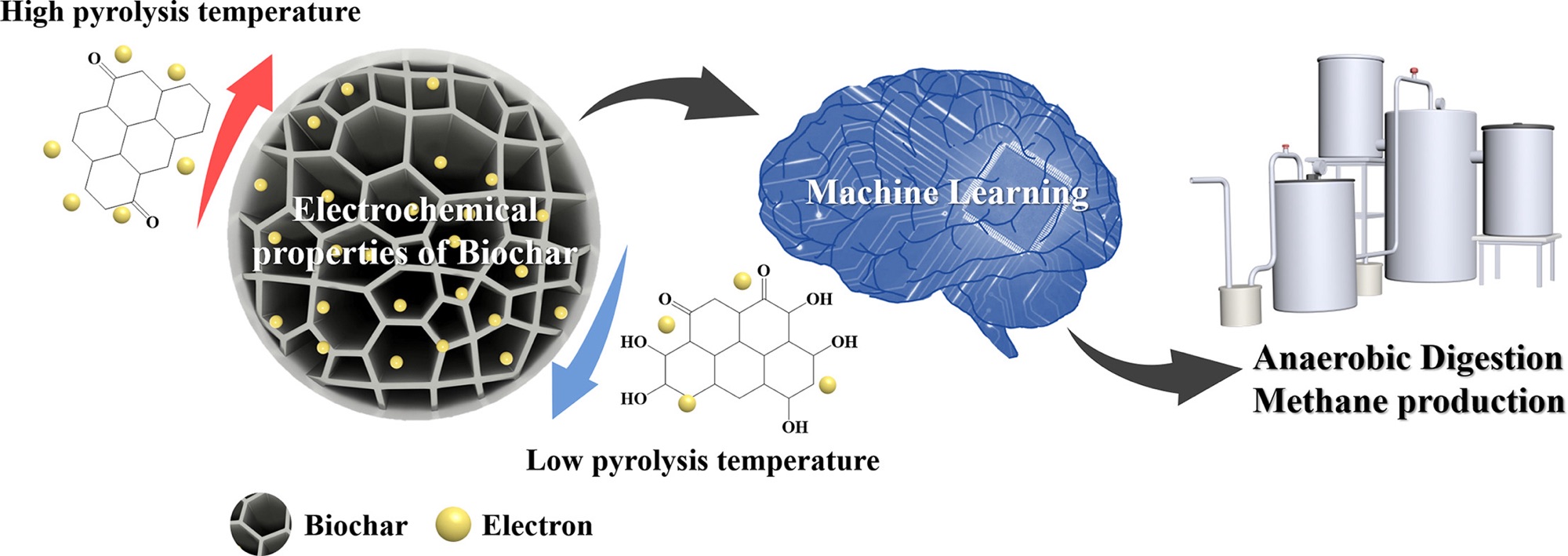 Understanding Biochar’s Role in Enhancing Anaerobic Digestion Through ...
