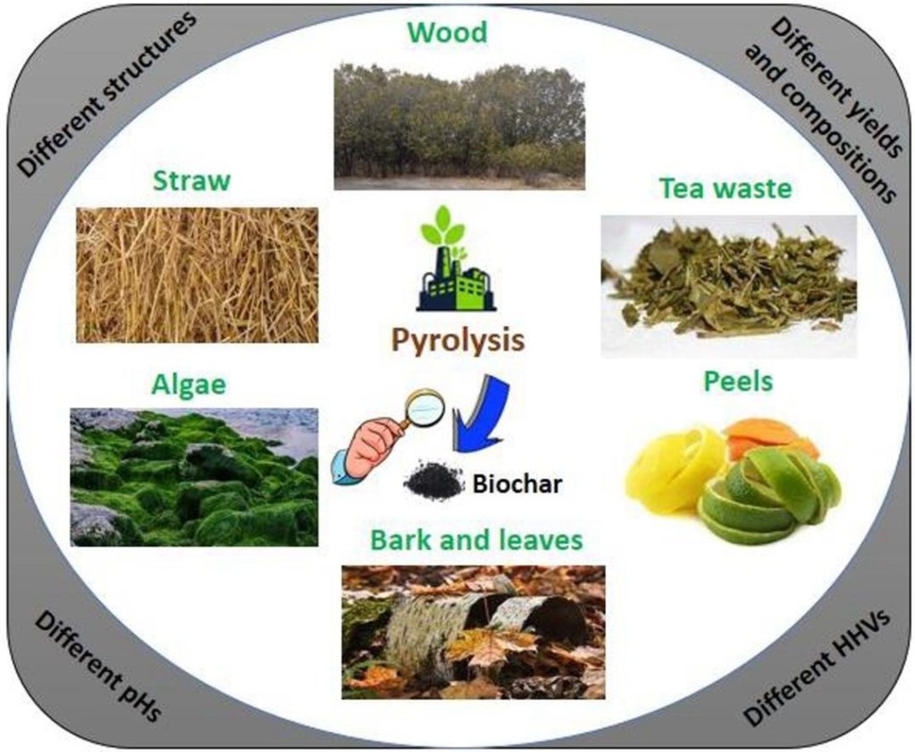 Key Influences on Biochar Properties from Different Biomass Feedstocks ...