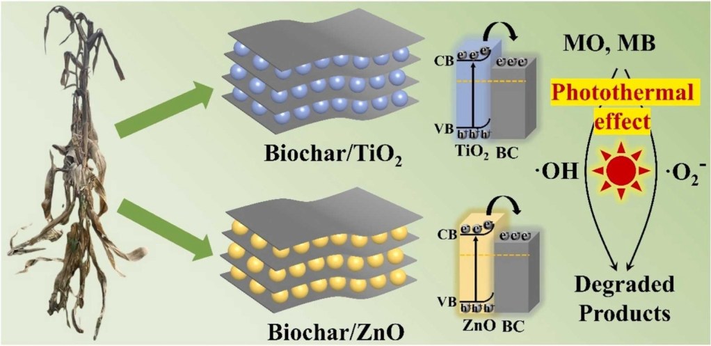 Utilizing Corn Straw Biochar for Efficient Dye Degradation – Biochar Today