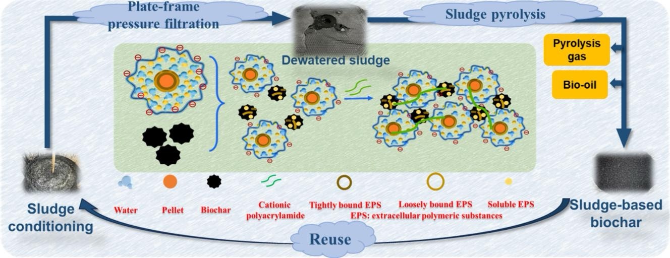 Enhancing Sludge Management with Biochar: Innovations in Anaerobic ...