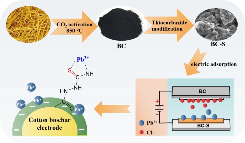 Surface Functionalized Biochar: A Breakthrough for Lead Ion Removal ...