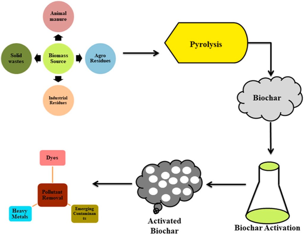Black Gold: How Biochar is Revolutionizing Water Purification and ...