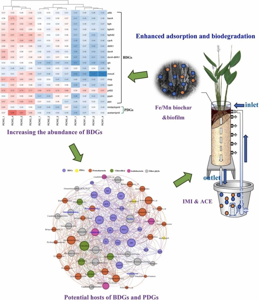 Boosting Neonicotinoid Removal in Constructed Wetlands with Fe/Mn ...