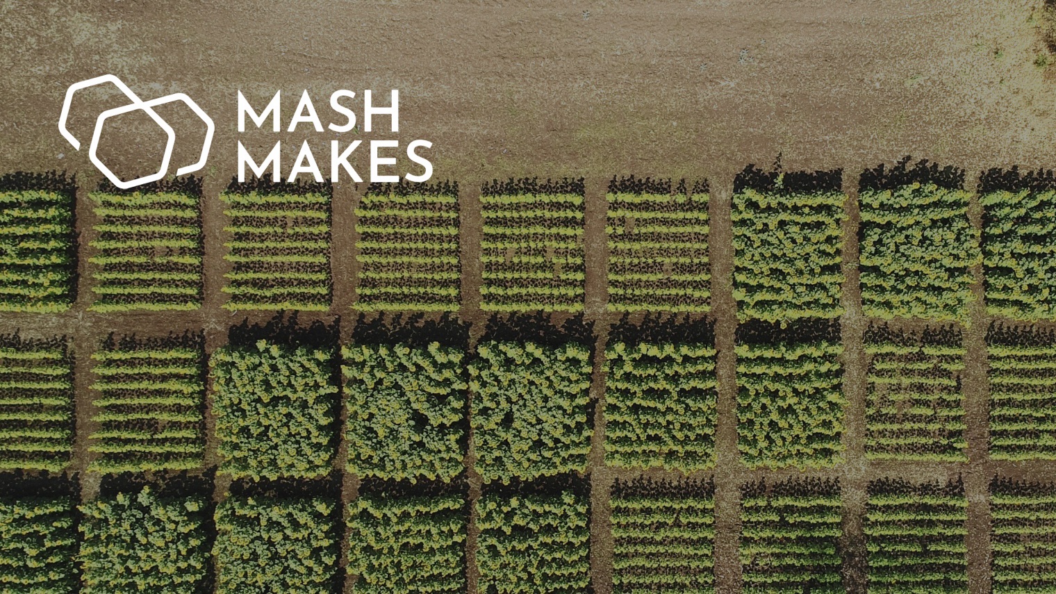 MASH Makes Field Trials Show Long-Term Biochar Benefits Across Indian ...
