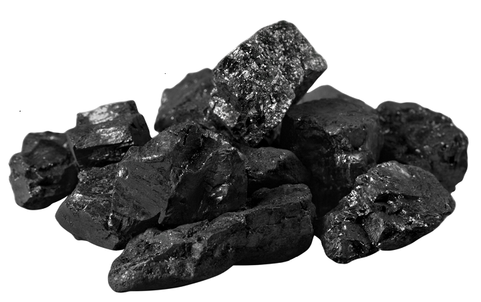 Discover the Benefits of Biochar: Environmental and Agronomic Uses
