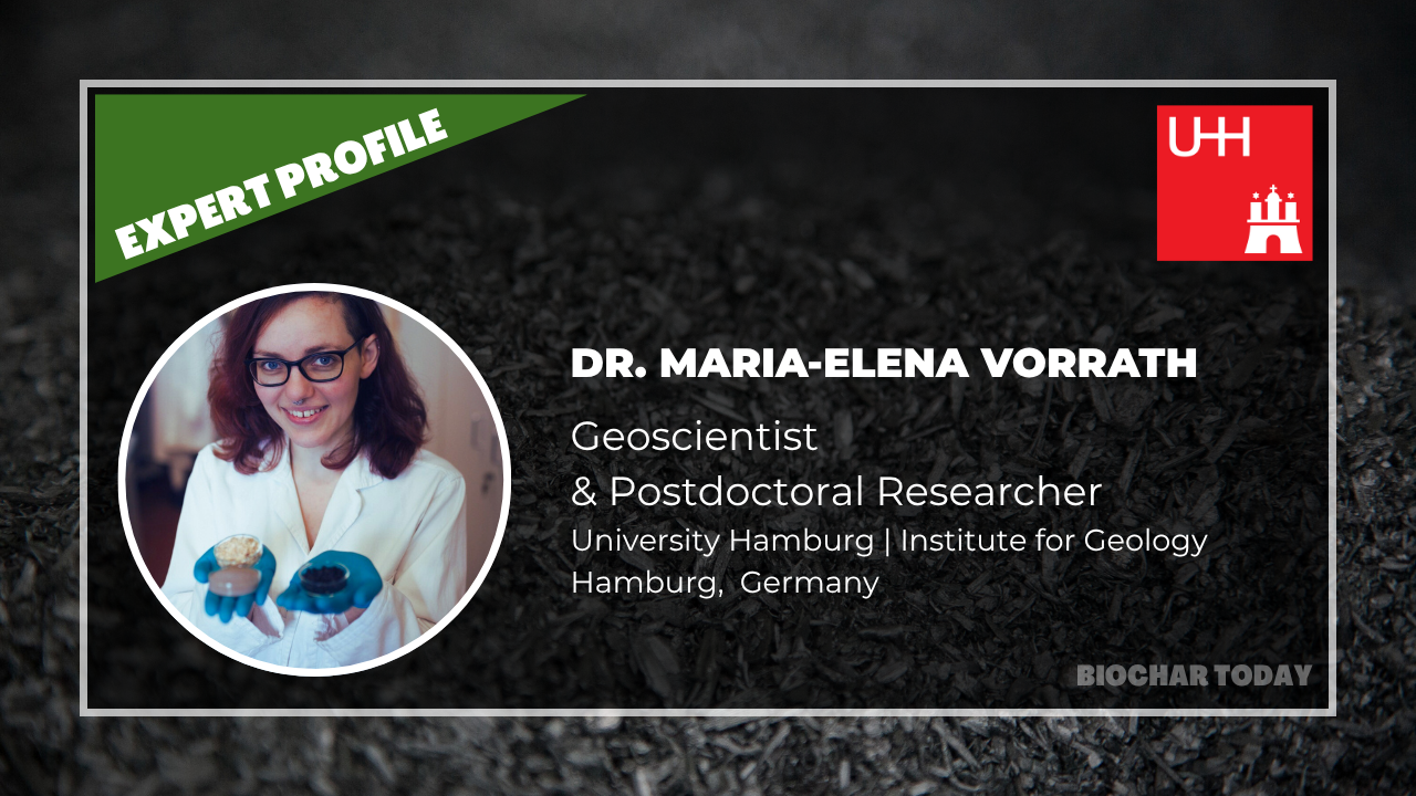 Understanding Torrefaction: A Key Process for Biofuels