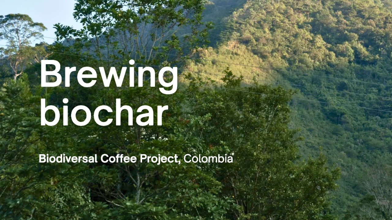 Transformando la Zoca: Biochar y su Impacto en Colombia