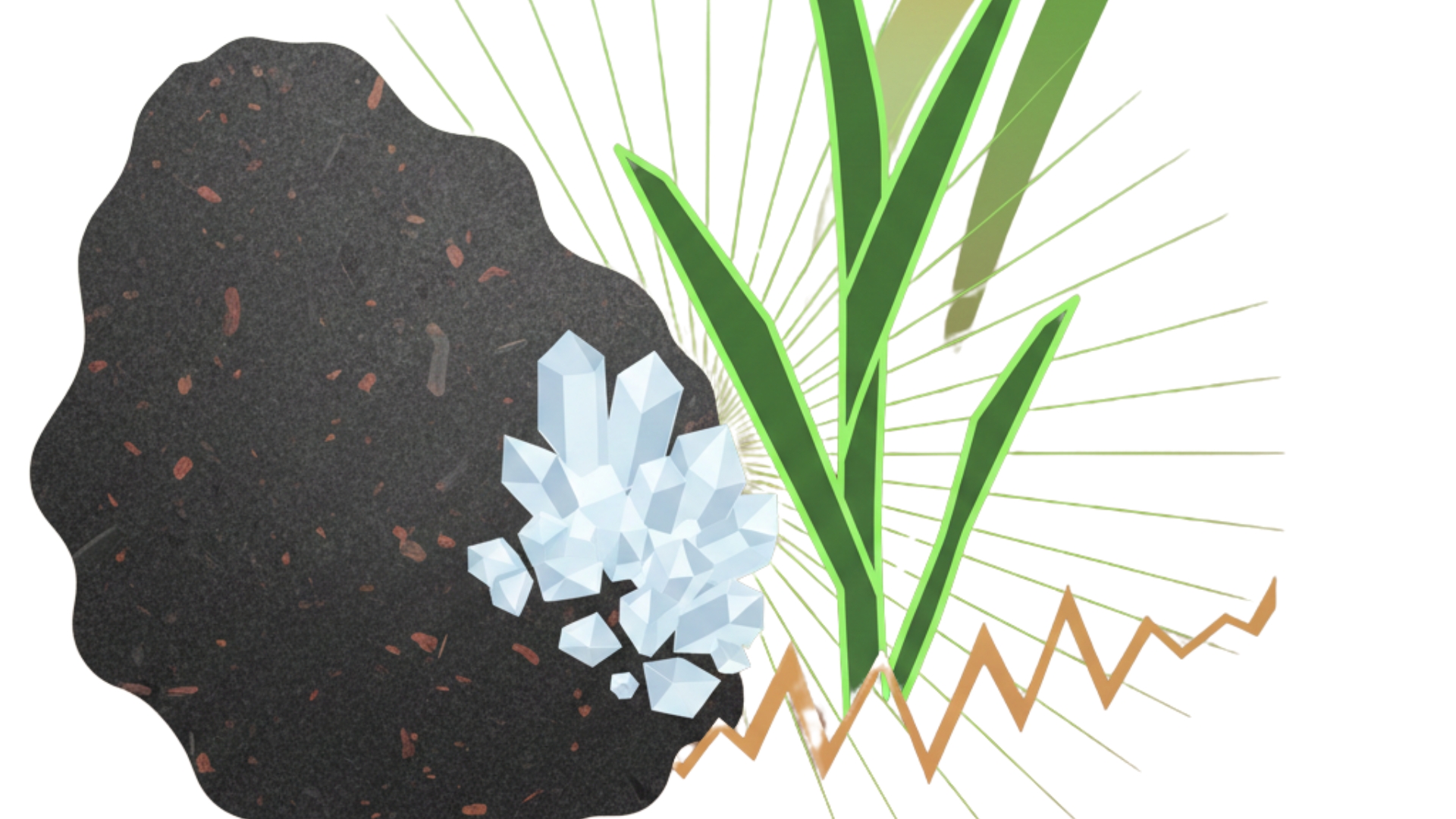 SDI Biocarbon Solutions Incident Reveals Critical Safety Gaps, Leading ...